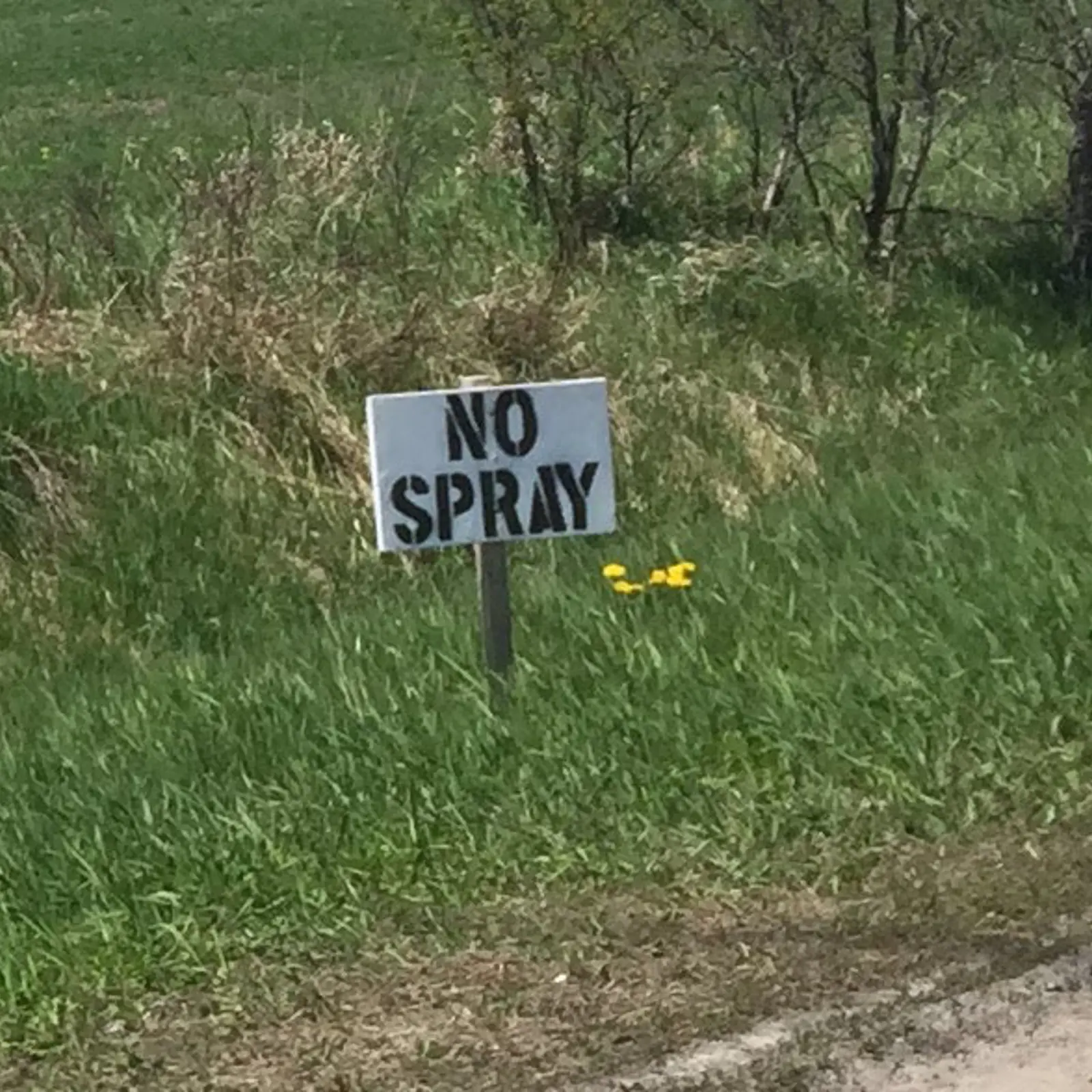 Roadside Spraying | Township of North Glengarry